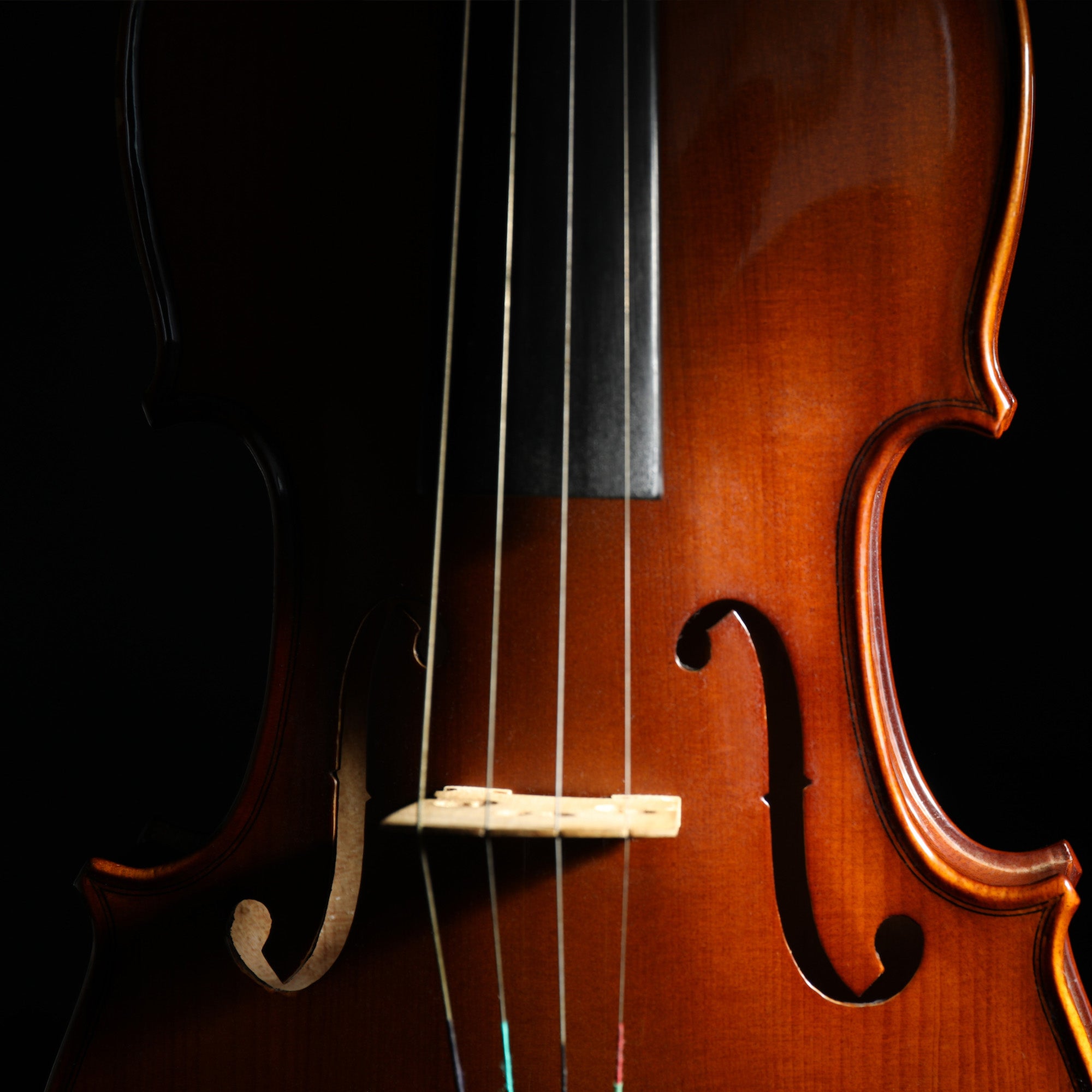 Dov-Music | String Instruments, Parts, & Accessories