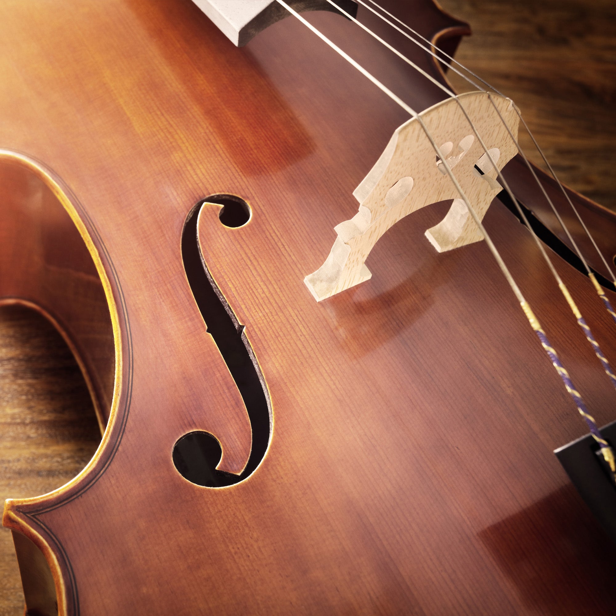 Dov-Music | String Instruments, Parts, & Accessories